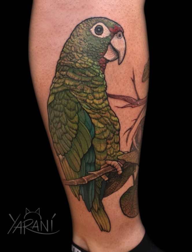 112 Best Parrot Tattoo Designs & Meaning - Tattoo Twist