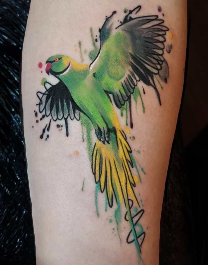 112 Best Parrot Tattoo Designs & Meaning - Tattoo Twist