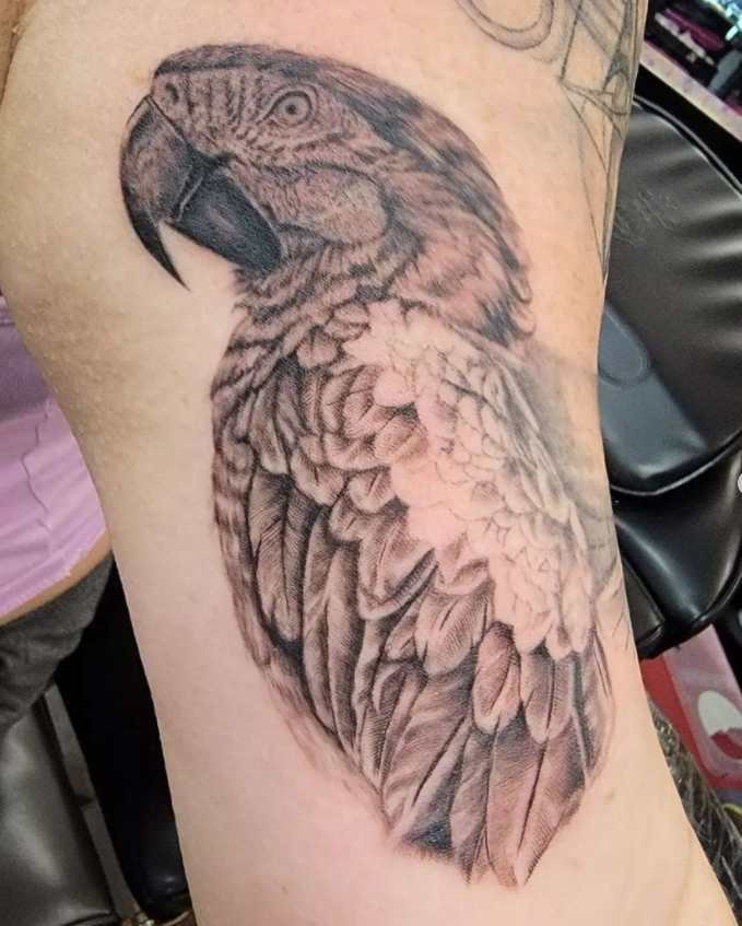 112 Best Parrot Tattoo Designs & Meaning - Tattoo Twist