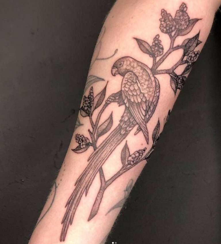 112 Best Parrot Tattoo Designs & Meaning - Tattoo Twist